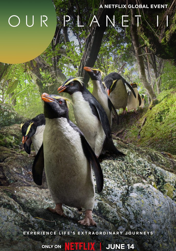 Nuestro Planeta temporada 2 - Ver episodios online